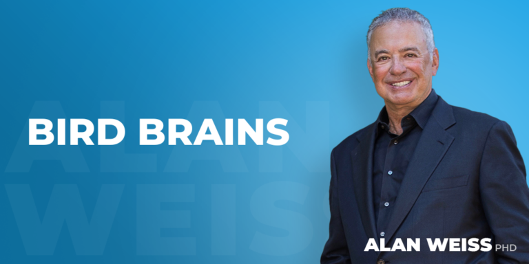 Bird Brains - Alan Weiss, PhD